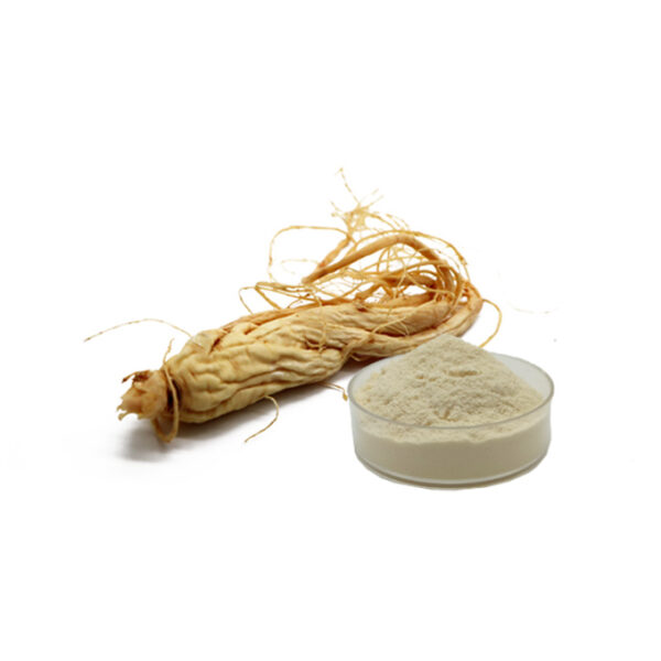 Panax Ginseng Extract HONGJIU BIOTECH - China Professional Natural ...
