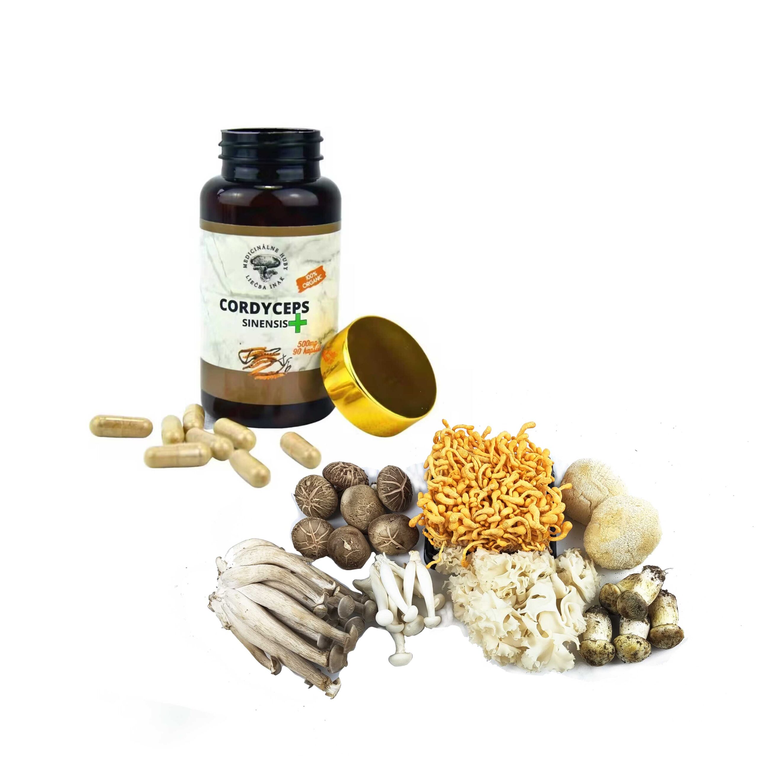 Mushroom Compound Capsule HONGJIU BIOTECH - China Professional Natural ...